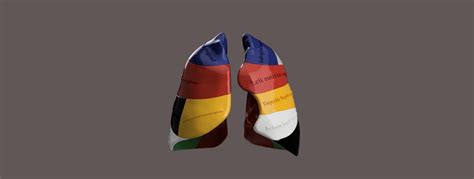 3d File Lungs Segmented With Different Segments Model 🫁 ・3d Printer