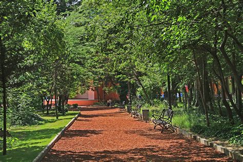 მუშტაიდის ბაღი Mushthaid Garden Tbilisi Georgia Tbilisigovge Tbililisicityhall Greentbilisi