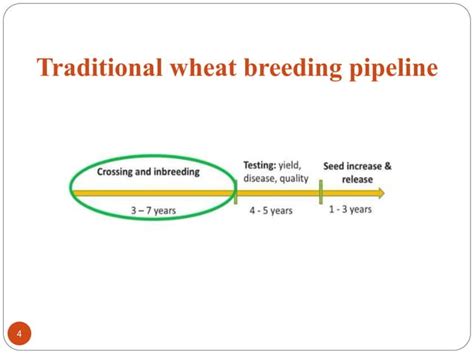 Speed Breeding And Its Implications In Crop Improvement Pptx