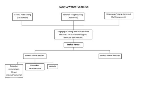 Patoflow Fraktur Femur Pdf