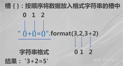 python基础教程 从头开始入门 知乎