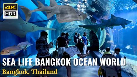 Dive Into Underwater World At Sea Life Bangkok Aquarium Thailand 4k