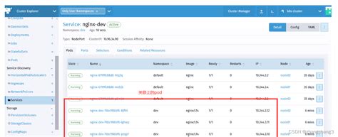 【云原生】k8s图形化管理工具之rancher 手动下载rancher镜像 csdn博客