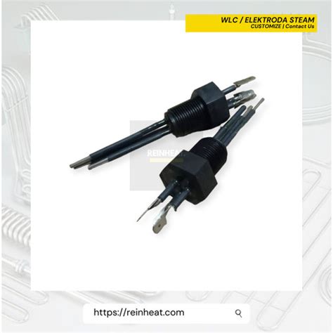 Jual Elektroda Steam Level Switch Steam Wlc Sensor Jakarta Utara Reinheat Heating