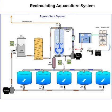 Recirculating Aquaculture System At Best Price In Vadodara By Sai