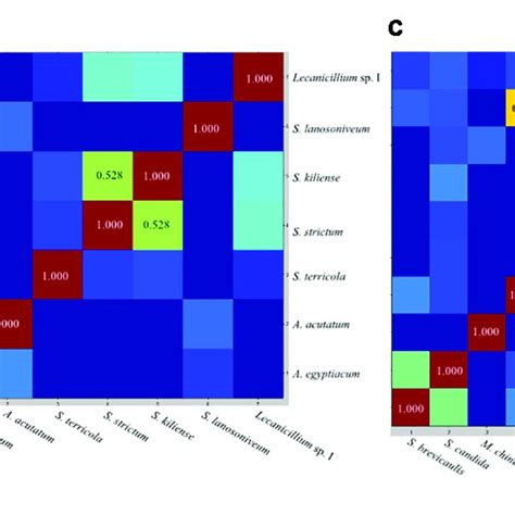 Representative Composite Correlation Index CCI Matrix Derived From Download Scientific