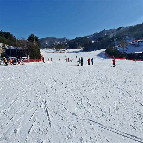원주 오크밸리 리조트 눈썰매장 And 수영장 골프빌리지 노스콘도 네이버 블로그