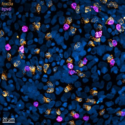 Molecular Instruments On Linkedin Withhcr