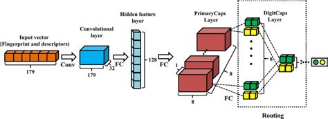 Architecture Of Convolution Capsule Networks Conv Capsnet The Download Scientific Diagram