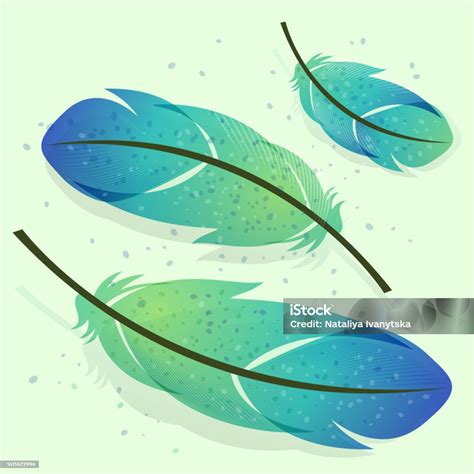 발견 된 새 깃털 그림자가있는 다양한 크기의 녹색 파란색 깃털 소프트 아이콘 밝기 기호 개체 그룹에 대한 스톡 벡터 아트 및 기타 이미지 Istock