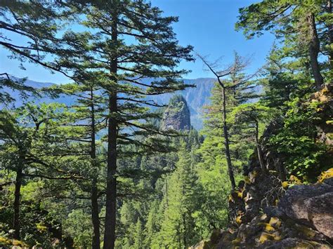 Beacon Rock Campground Scenic Columbia River Gorge Camping