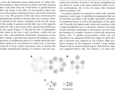 Schematic Representation Of A Two Stranded Canonical Coiled Coil A