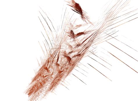 Graphisme Fractale Image Gratuite Sur Pixabay Pixabay