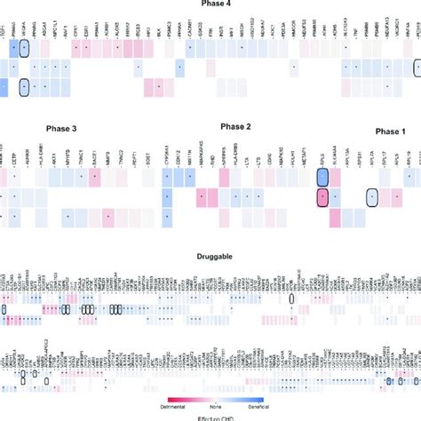 Replication Of Drug Target Mr Findings The Discovery And Replication