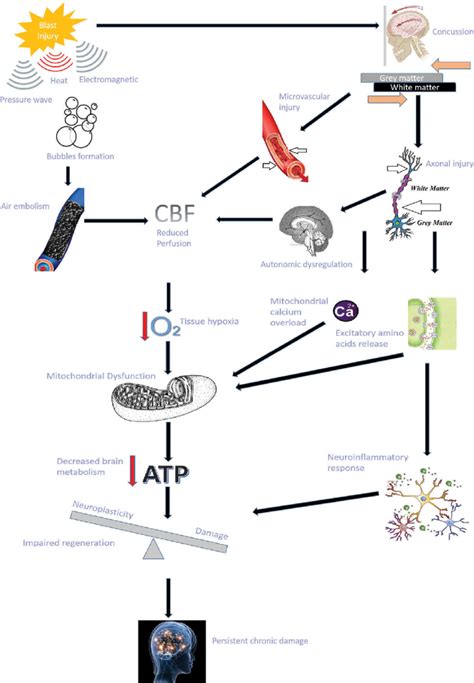 The Theoretical Pathophysiology Of Pcs Download Scientific Diagram
