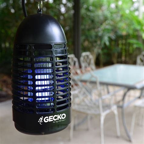 Gecko Insect Killer 10w Lantern Diy Evolution
