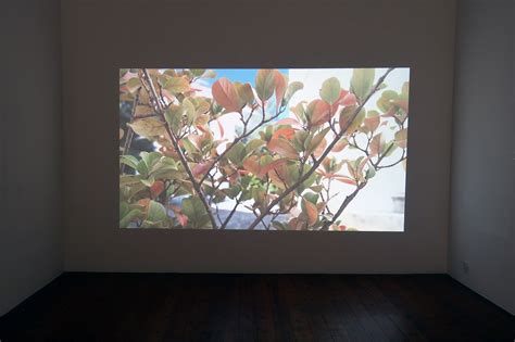 Assembling Under Cover Of Darkness