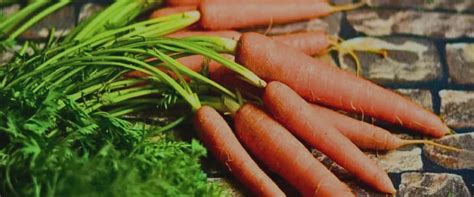 How Many Calories Are In A Carrot MY Healthy Balance