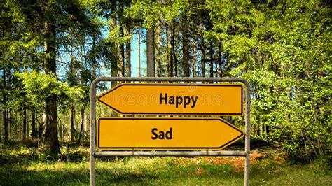 Sad Versus Happy Stock Photo Image Of Happy Excited