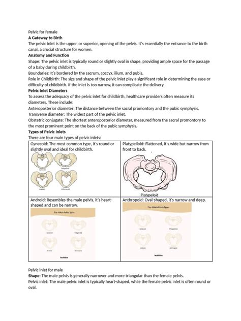Pelvic Inlet Pdf