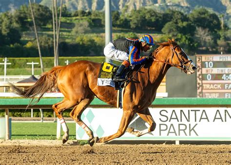 Santa Anita Barn Notes Ii British Isles Subsanador Headline Field For