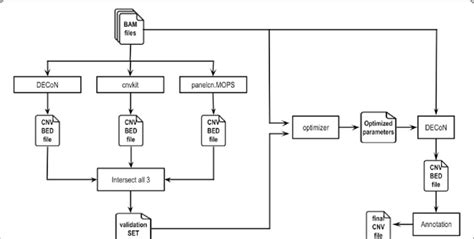 Overview Of The Pipeline 1 Cnv Calling Is Performed Using Three