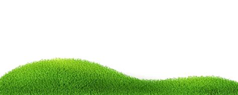 Realistic Grass Composition Background Premium Vector