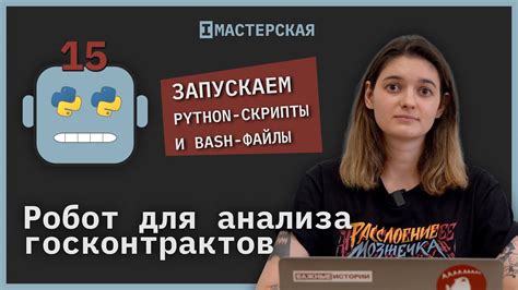 Как запустить Python скрипты и Bash файлы Робот для анализа