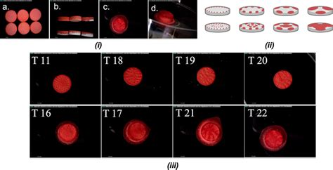 I Optical Microscope Image Of The Tablets With Different Amounts Of