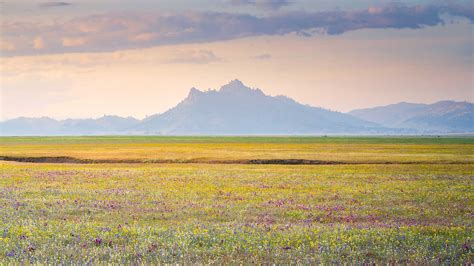 Bing Image Il Tempo Dei Fiori Bing Wallpaper Gallery