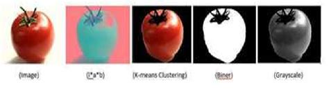 Figure 3 From Analysis Of Tomato Ripeness By Color And Texture Using Cielab And K Means