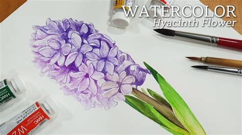 수채화 히아신스 꽃 그리기 Youtube
