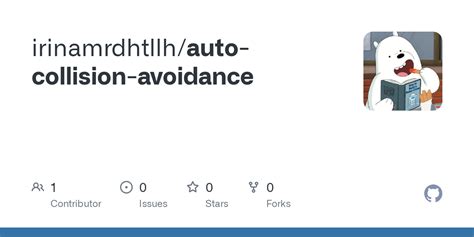 github irinamrdhtllh auto collision avoidance