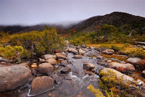 Mount Field National Park Discover Tasmania