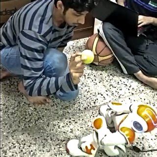 PDF Real Time Object Detection And Recognition On Low Compute Humanoid Robots Using Deep Learning