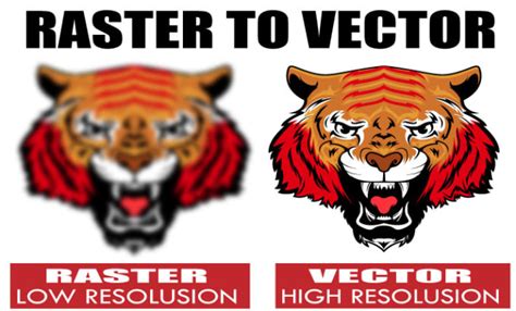 Redesign Fix Edit Modify Update Redraw Or Vectorize Logo By Syedaasmabibi Fiverr