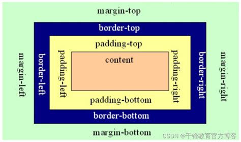 html 知识点CSS盒模型 html盒子模型案例 CSDN博客
