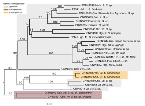 Maximum Likelihood Consensus Tree Based On The 3rad Data Set Numbers