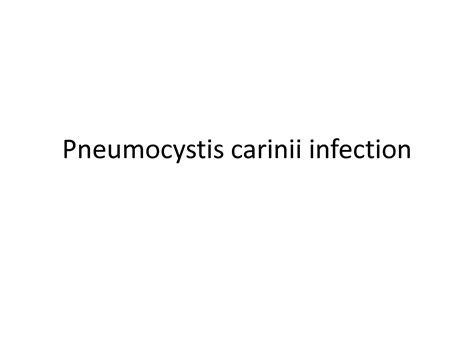 Solution Pneumocystis Carinii Infection Studypool