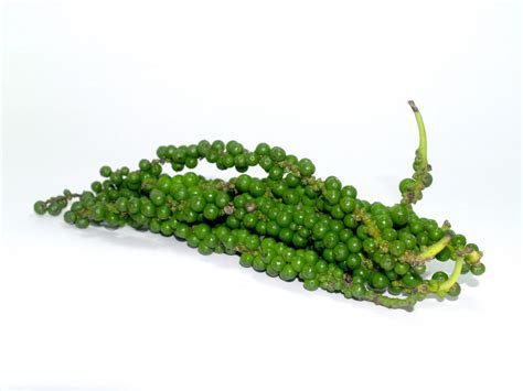 무료 이미지 곡물 잎 씨 일주 마른 말뚝 식품 녹색 기미 조리 성분 요리의 목초 생기게 하다 야채 수확고 자연스러운 옥수수 부엌