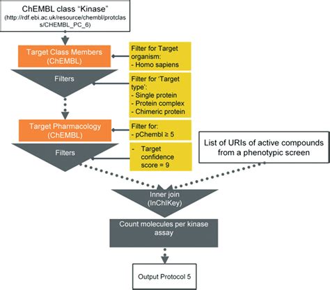 Schematic Overview Of Protocol 5 Download Scientific Diagram