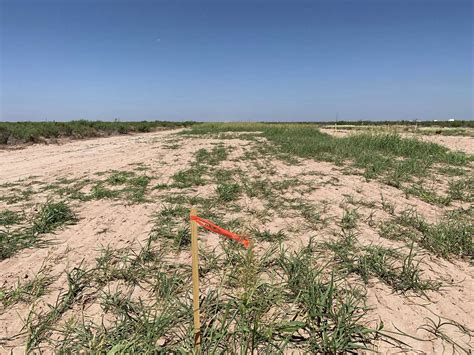 Permian Highway Pipeline Continues To Progress Toward Gulf Coast