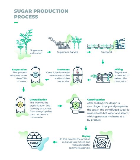 Sugar From Sugar Cane Production Process With Flowsheet Xhyy