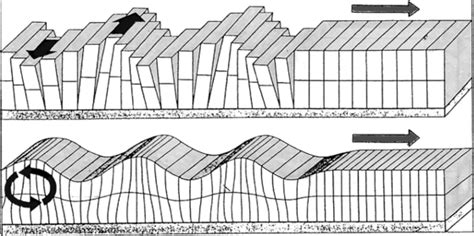 There Are No Transverse Oscillations R Osenilo
