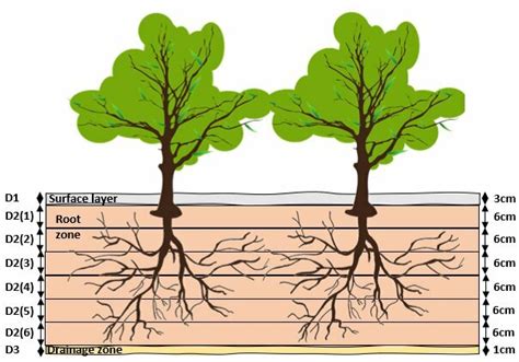 Structure Of The Soil Layer With The Proposed Division In Eight Layers Download Scientific