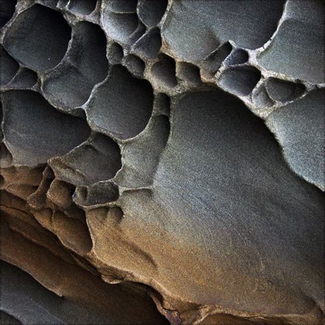 Connectivity Patterns In Nature Texture Inspiration Macro Photography Nature