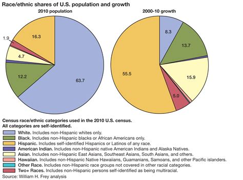 Us Population Race Pie Chart