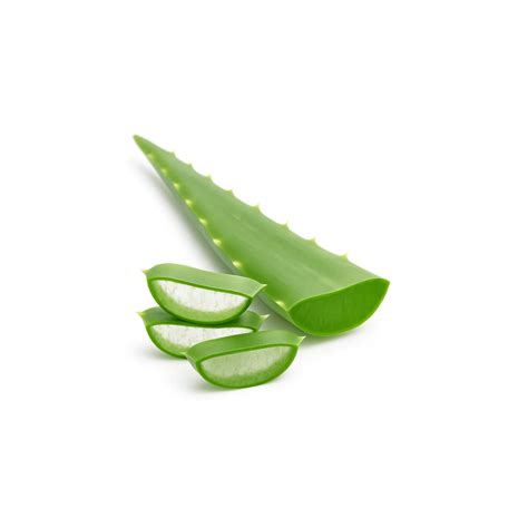 Ryzer Glow Tanning Lotion