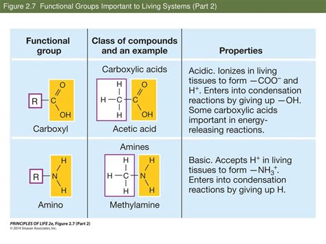 The Chemistry And Energy Of Life Ppt Download