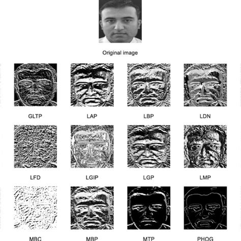 Block Diagram Of A Typical Face Recognition System Download